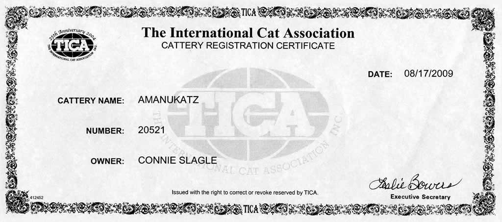 Our Cattery | Savannah Cats & Kittens | (419) 550 1265